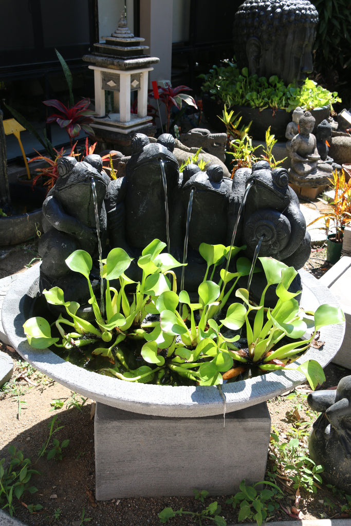 NEW Balinese Frog Water Feature - Bali Water Feature – Tropical Living QLD