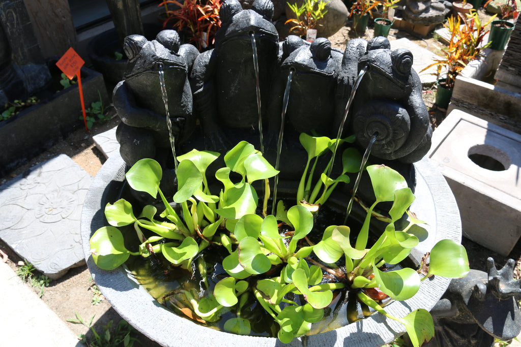 NEW Balinese Frog Water Feature - Bali Water Feature – Tropical Living QLD