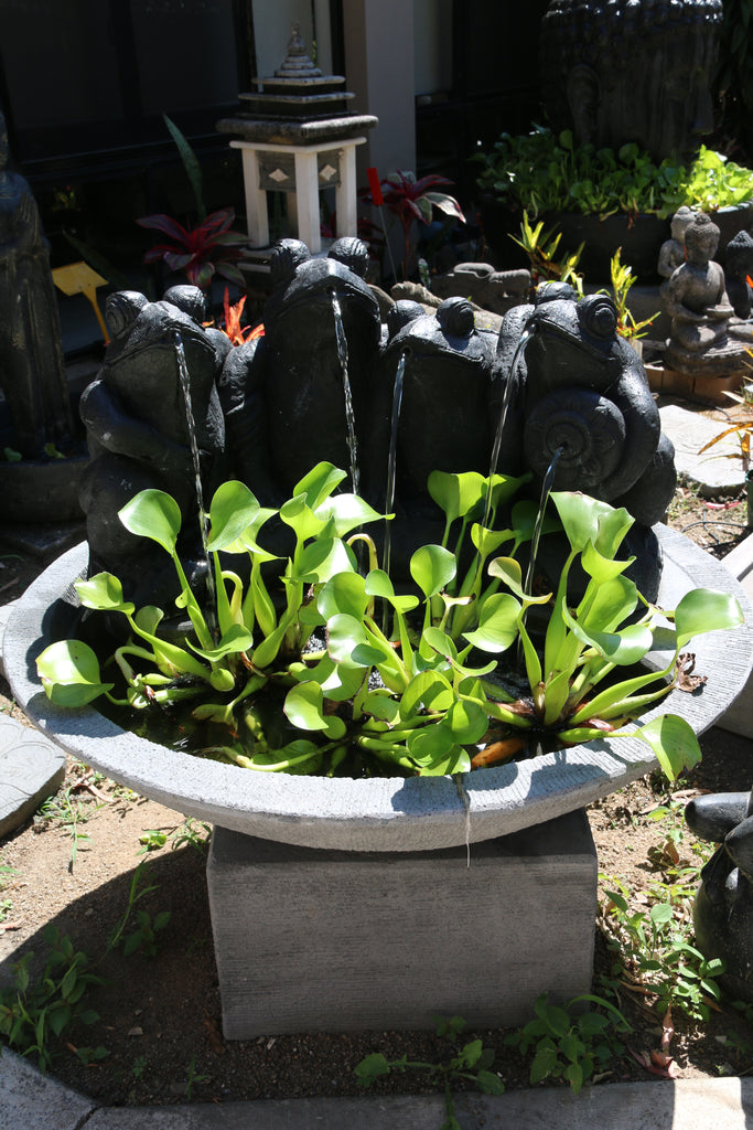 NEW Balinese Frog Water Feature - Bali Water Feature – Tropical Living QLD