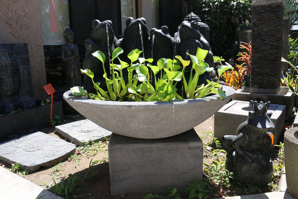 NEW Balinese Frog Water Feature - Bali Water Feature – Tropical Living QLD