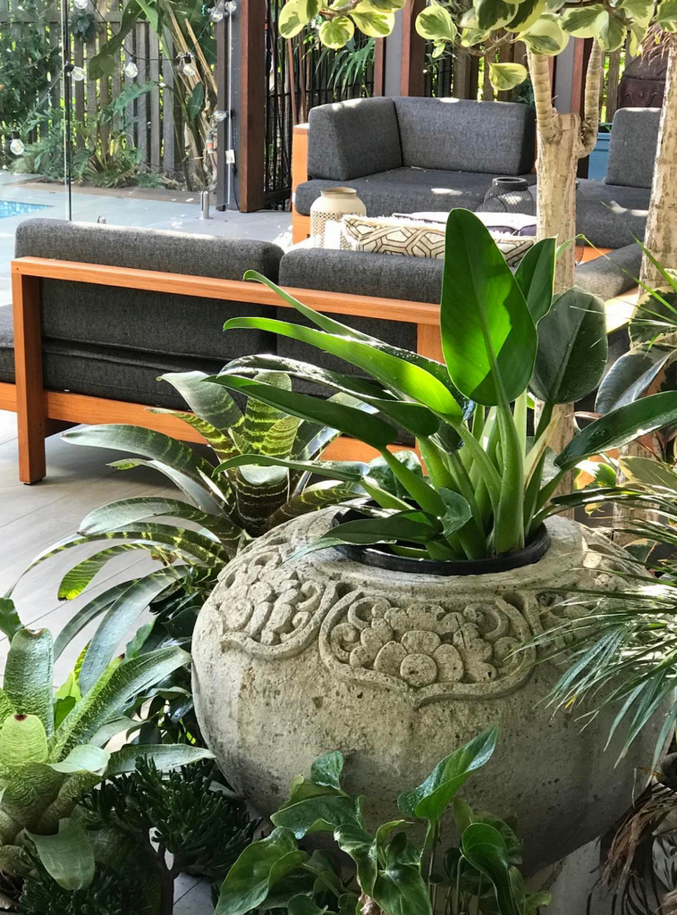 NEW Balinese Hand Crafted Paras Donut Pot - Bali Feature Pot - Carved ...