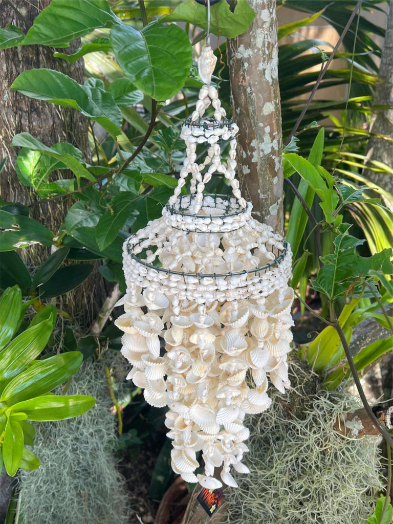 NEW Balinese Shell Hanging Decor or Mini Shell Pendant Light Shade - B ...